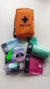 Arbortec Treehog Personal Hi-Viz First Aid Kit For Sale